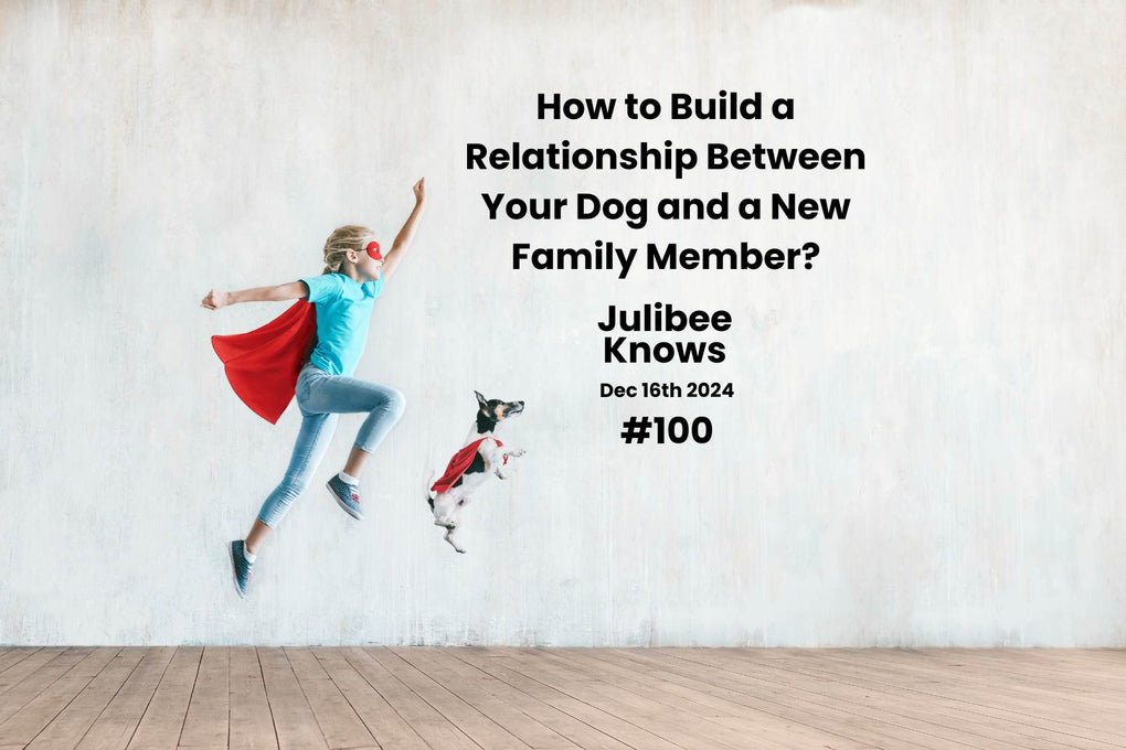 How to Help Your Dog Adjust to a New Family Member: Tips & Insights ...