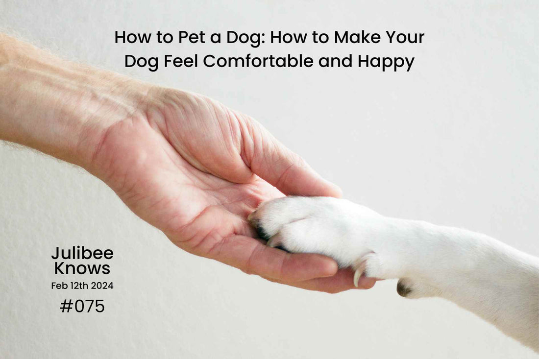 How to Pet a Dog: How to Make Your Dog Feel Comfortable and Happy ...